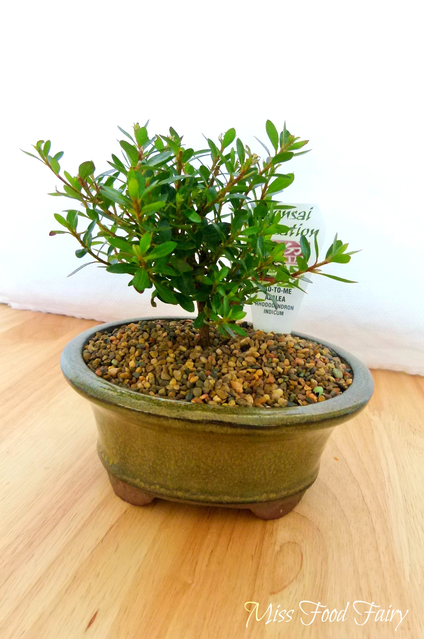 In My Kitchen January 2015 – Miss Food Fairy